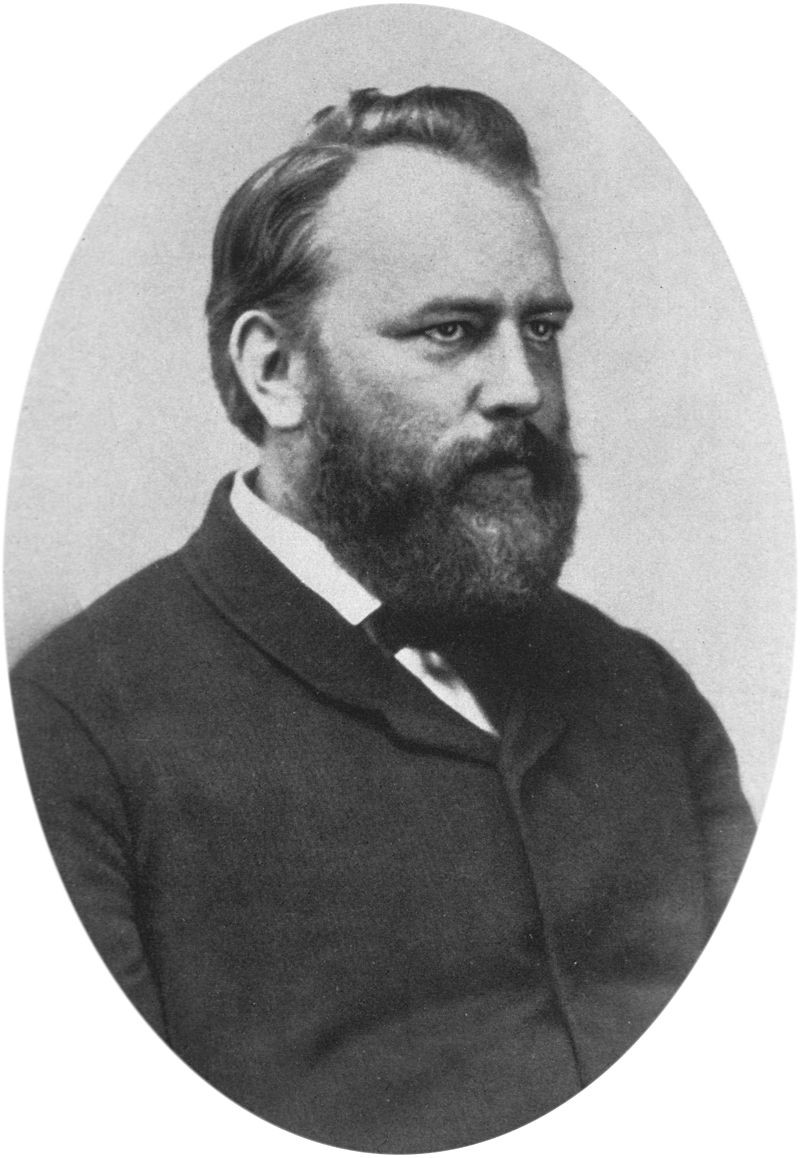 Theodor Billroth, pioner de la cirurgia científica – Blog de Miquel ...