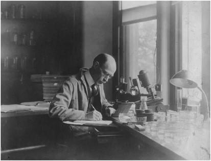 Frank Burr Mallory, un dels primers patòlegs interessat en el fetge ...