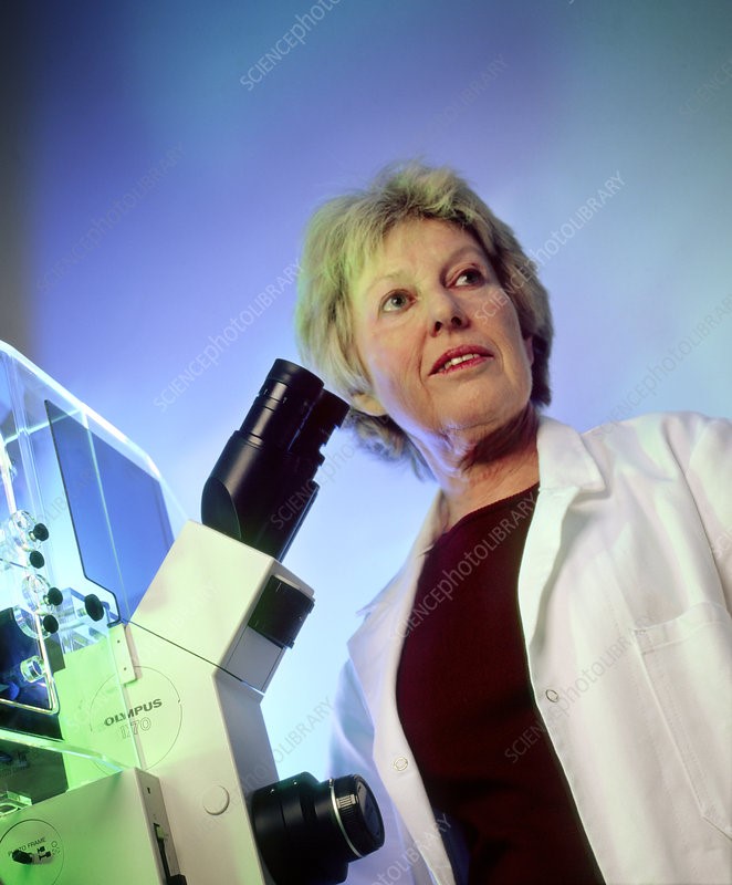 Dame Julia Polak (1939 – 2014), nascuda a l’Argentina i mor essent anglesa – Blog de Miquel ...